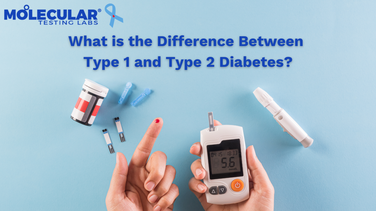 What is The Difference Between Type 1 and Type 2 Diabetes? | Molecular ...